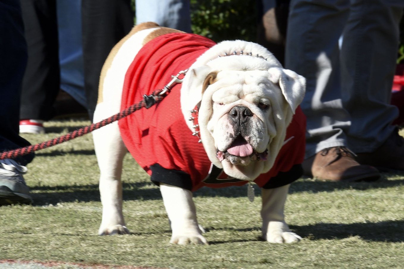 SEC history lesson: The roots for each team's nickname and mascot ...