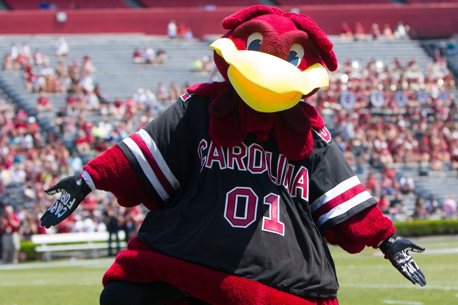 SEC mascot nicknames ranked by uniqueness - Saturday Down South