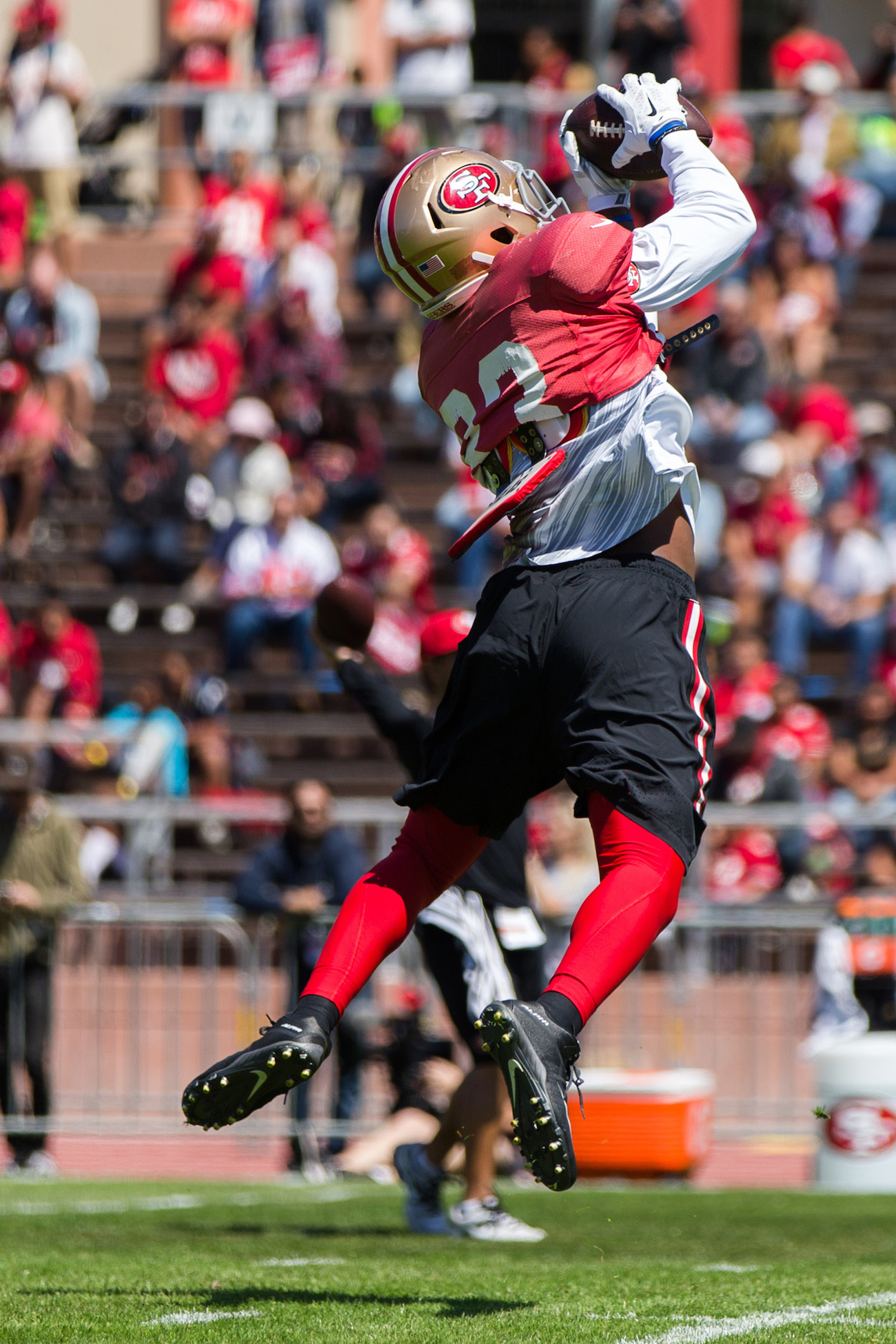 Former South Carolina TE Rory Anderson signs with Buffalo Bills ...