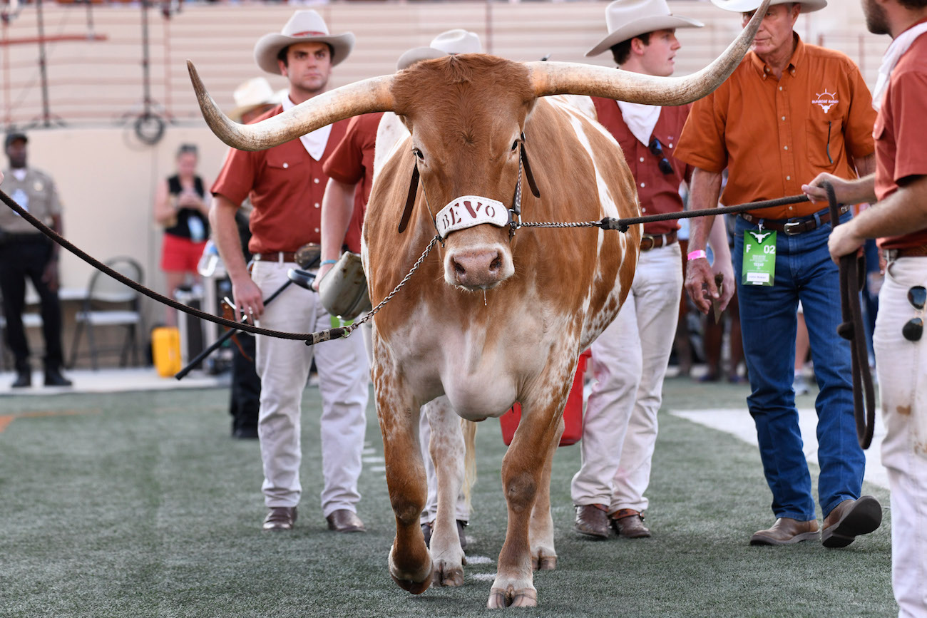 Obsessed much? Texas mascot Bevo's manure bucket takes shot at Texas A ...