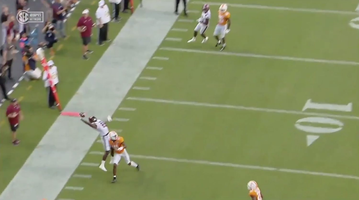 Catch of the year? Gamecocks Bryan Edwards makes incredible one-handed ...