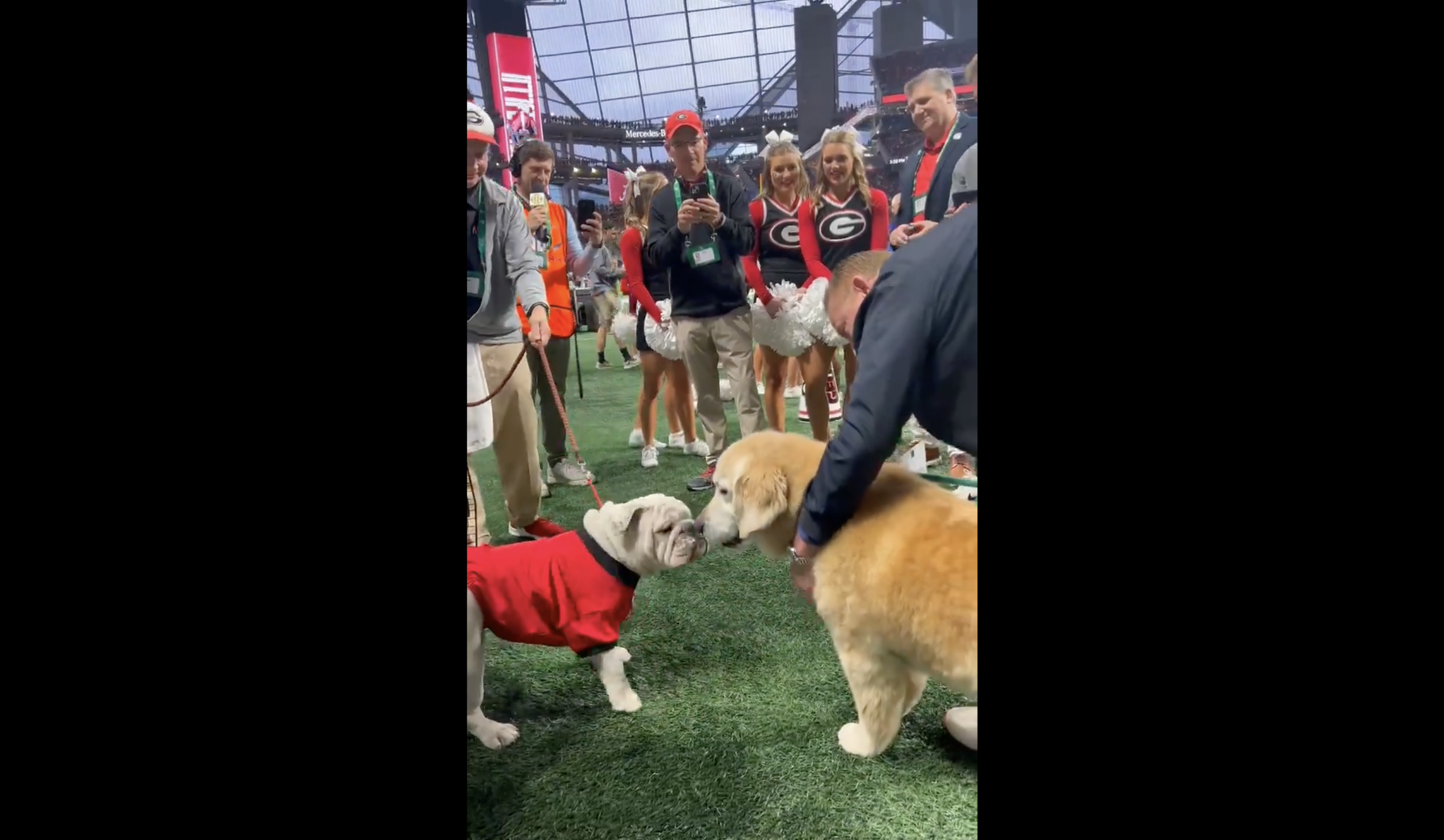 Kirk Herbstreit and his dog Ben enjoy pregame moment with Georgia's Uga ...
