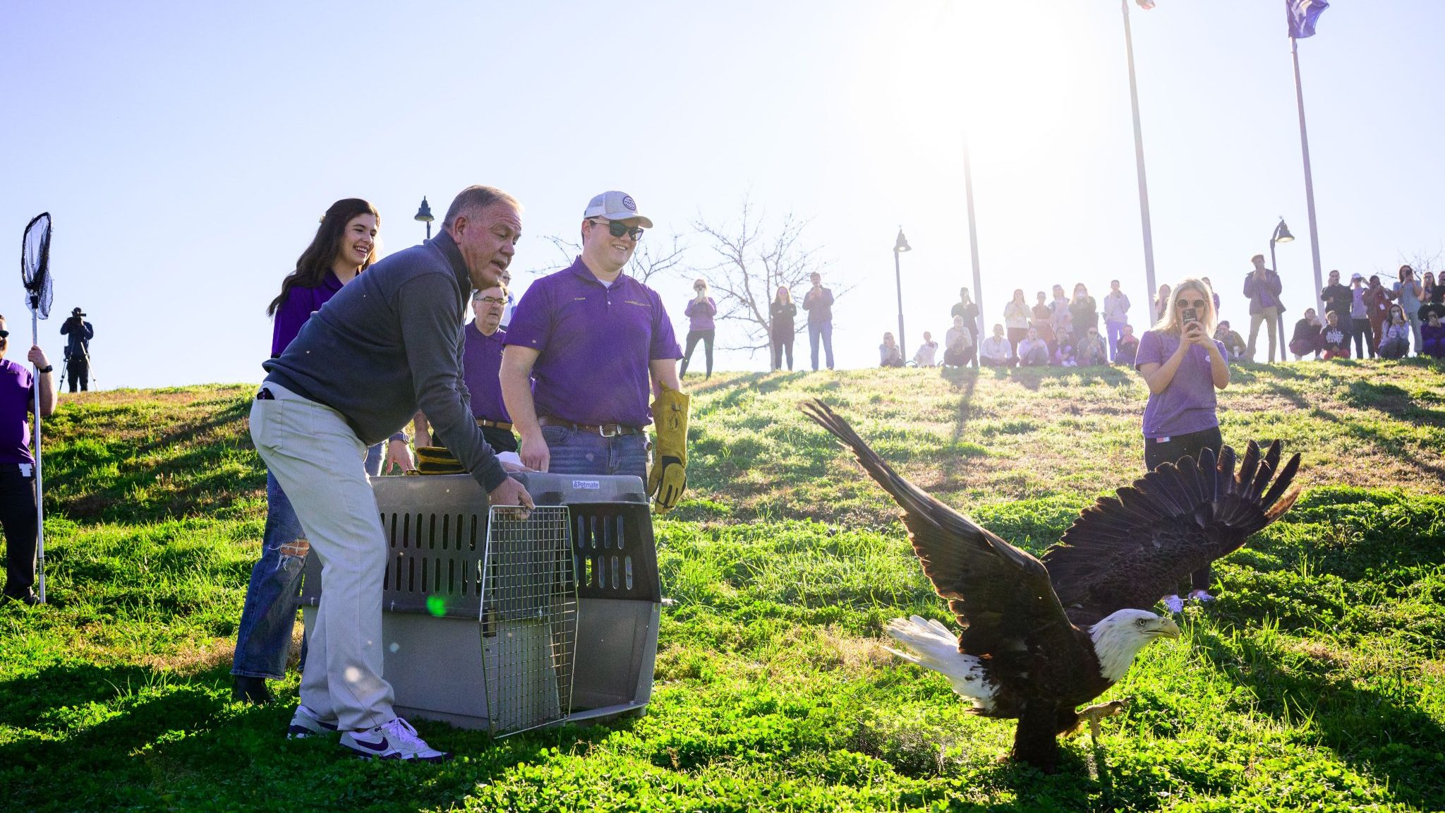 Brian Kelly assists LSU Vet Med in release of bald eagle - Saturday ...