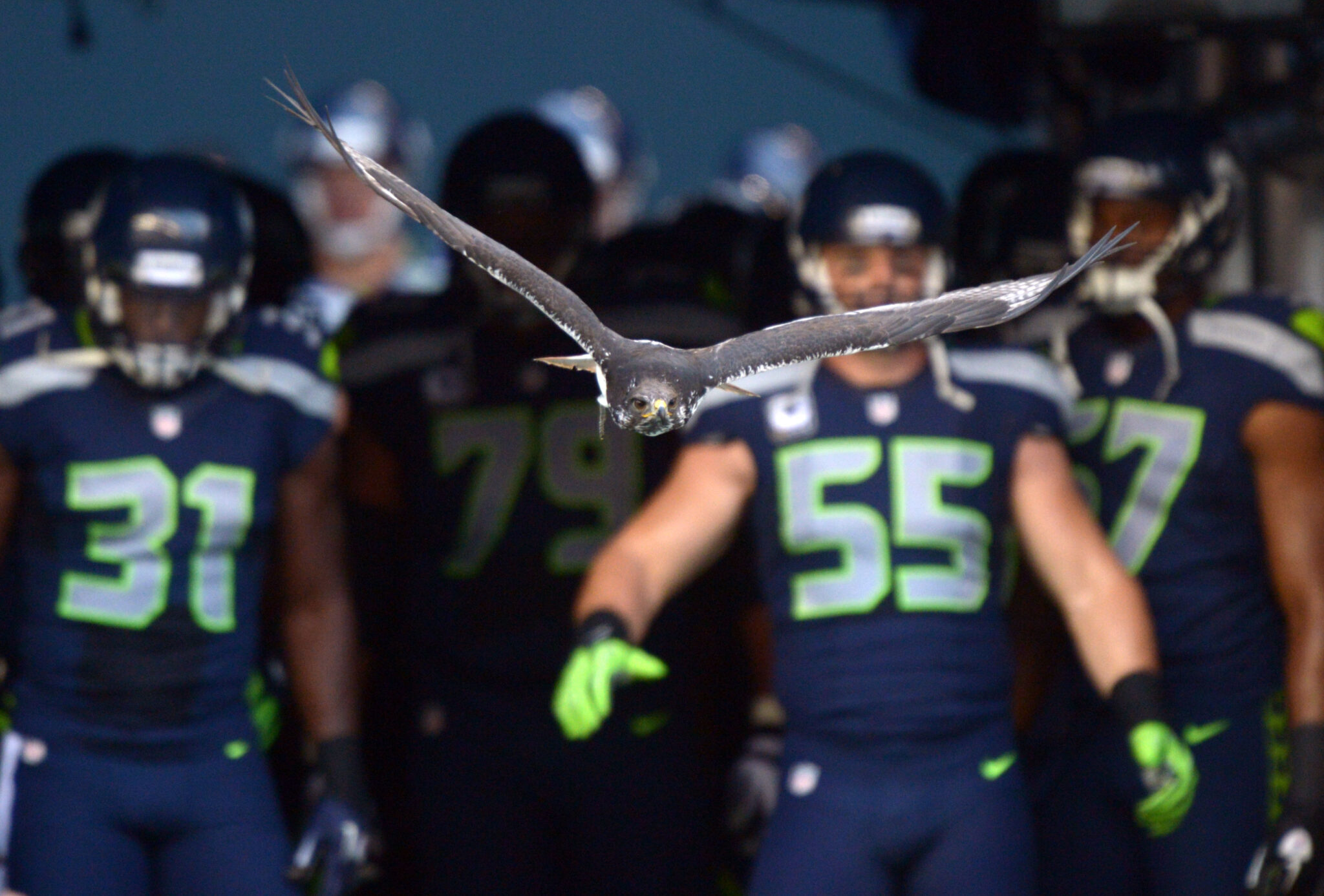 NFL mascot goes rogue ahead of season-opening kickoff - Saturday Down South