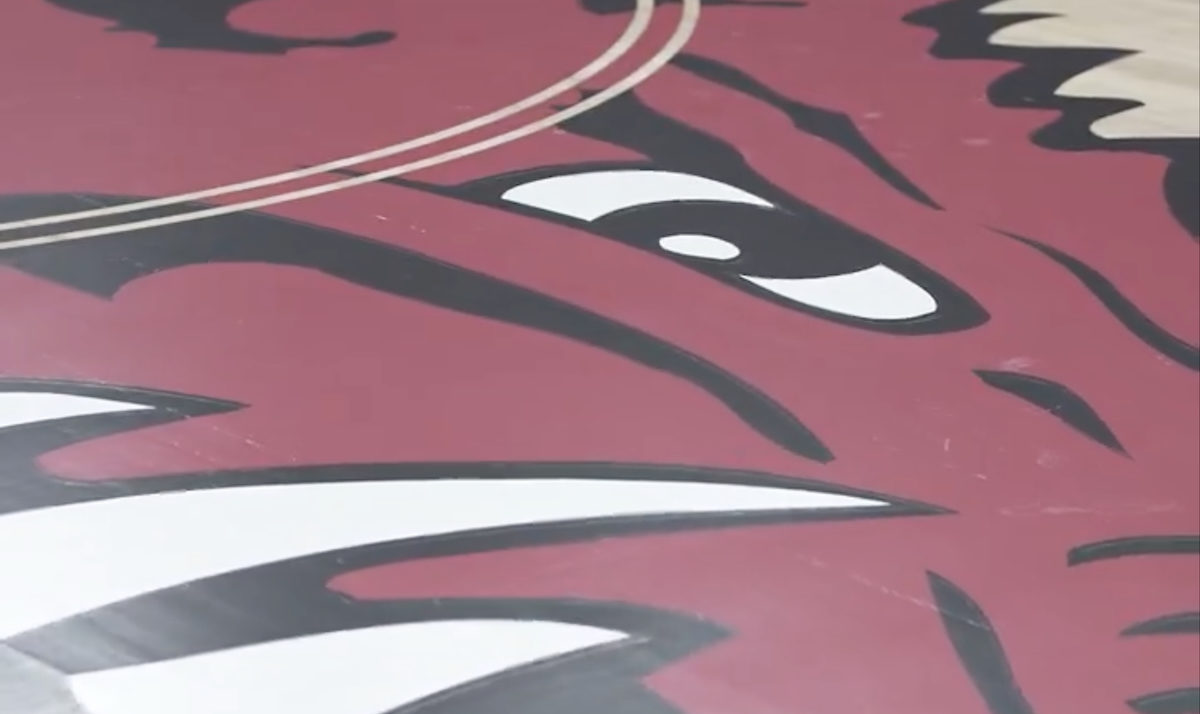 Arkansas unveils new-look basketball court with vintage logo ahead of ...