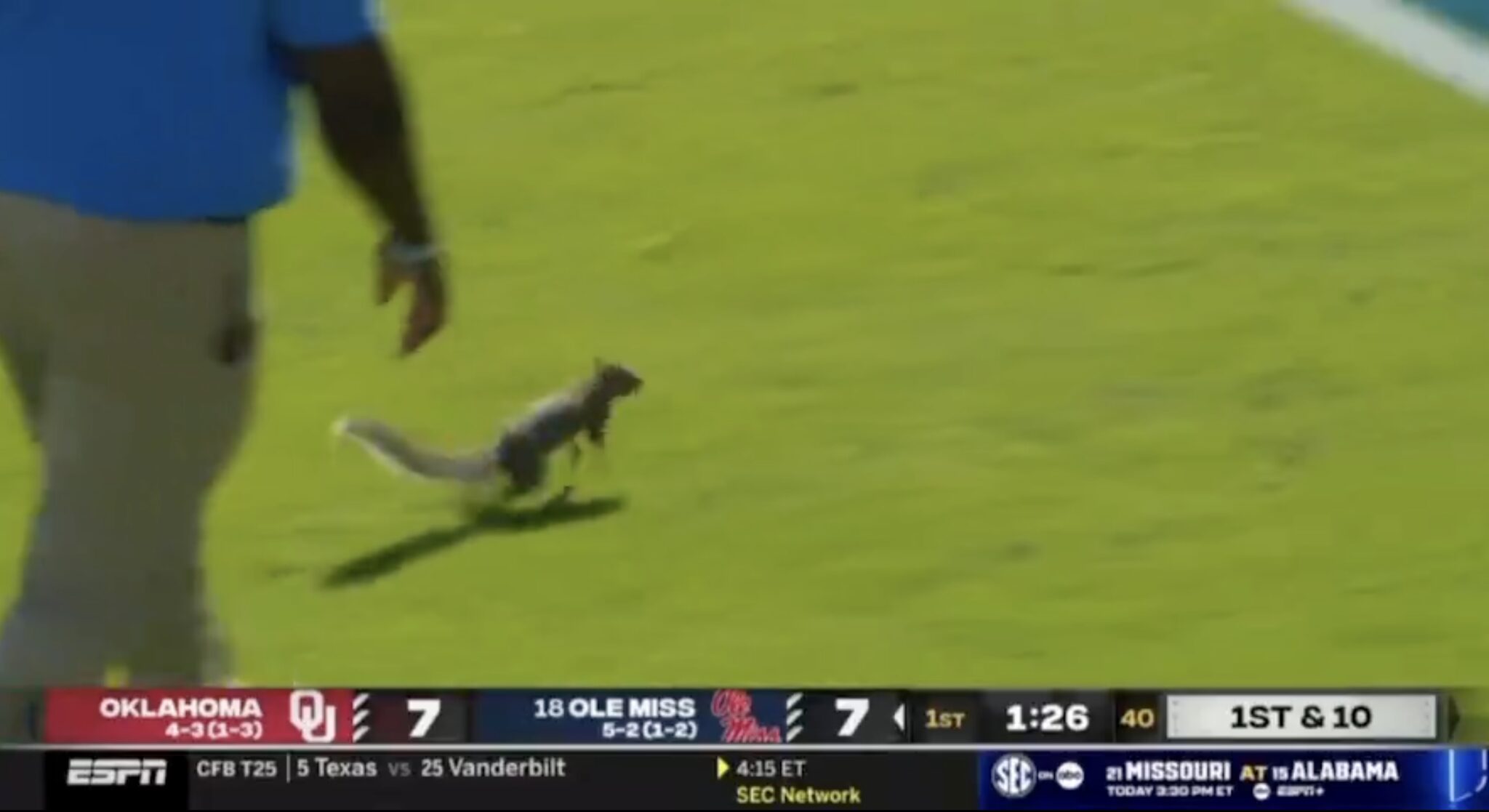 Squirrel on the field at Ole Miss game runs into end zone, draws huge ...