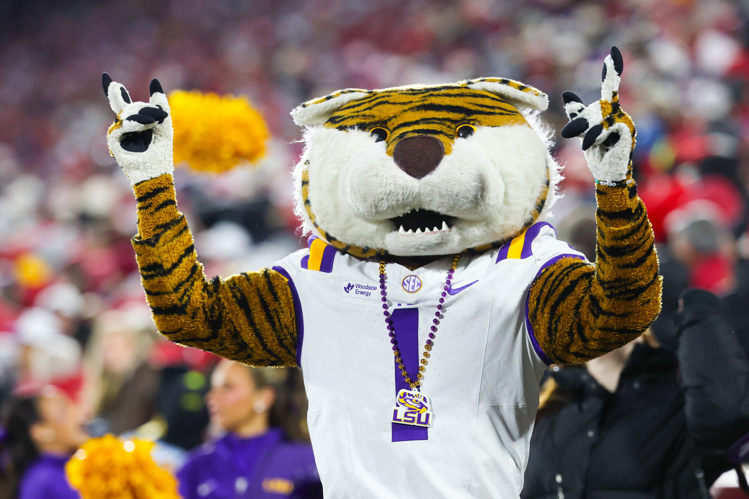 LSU to meet Big 12 opponent in Texas Bowl - Saturday Down South