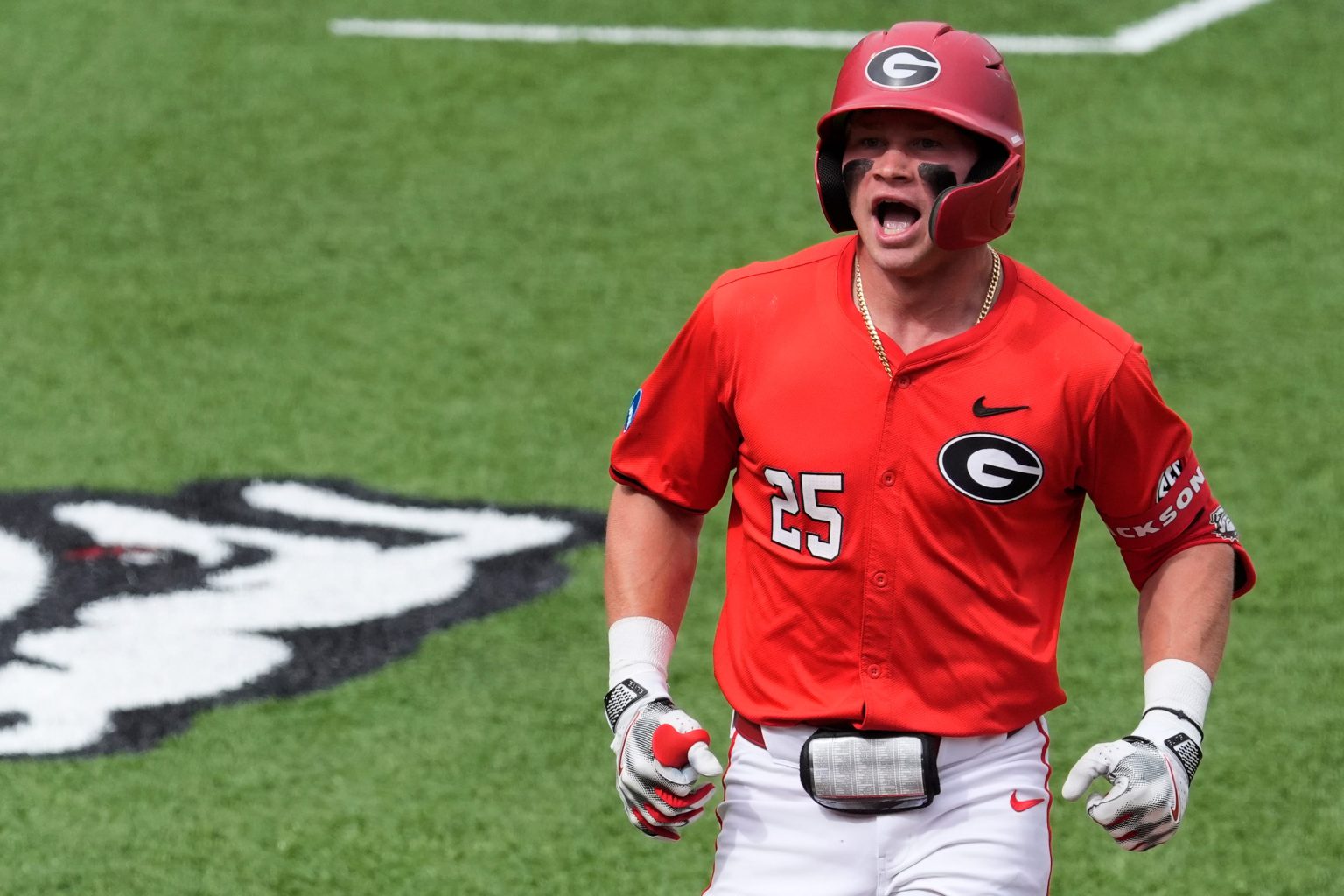 Georgia Baseball News - Saturday Down South