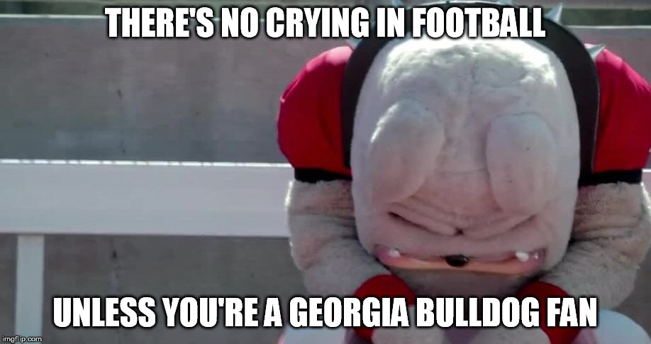 The best Georgia memes heading into the 2016 season