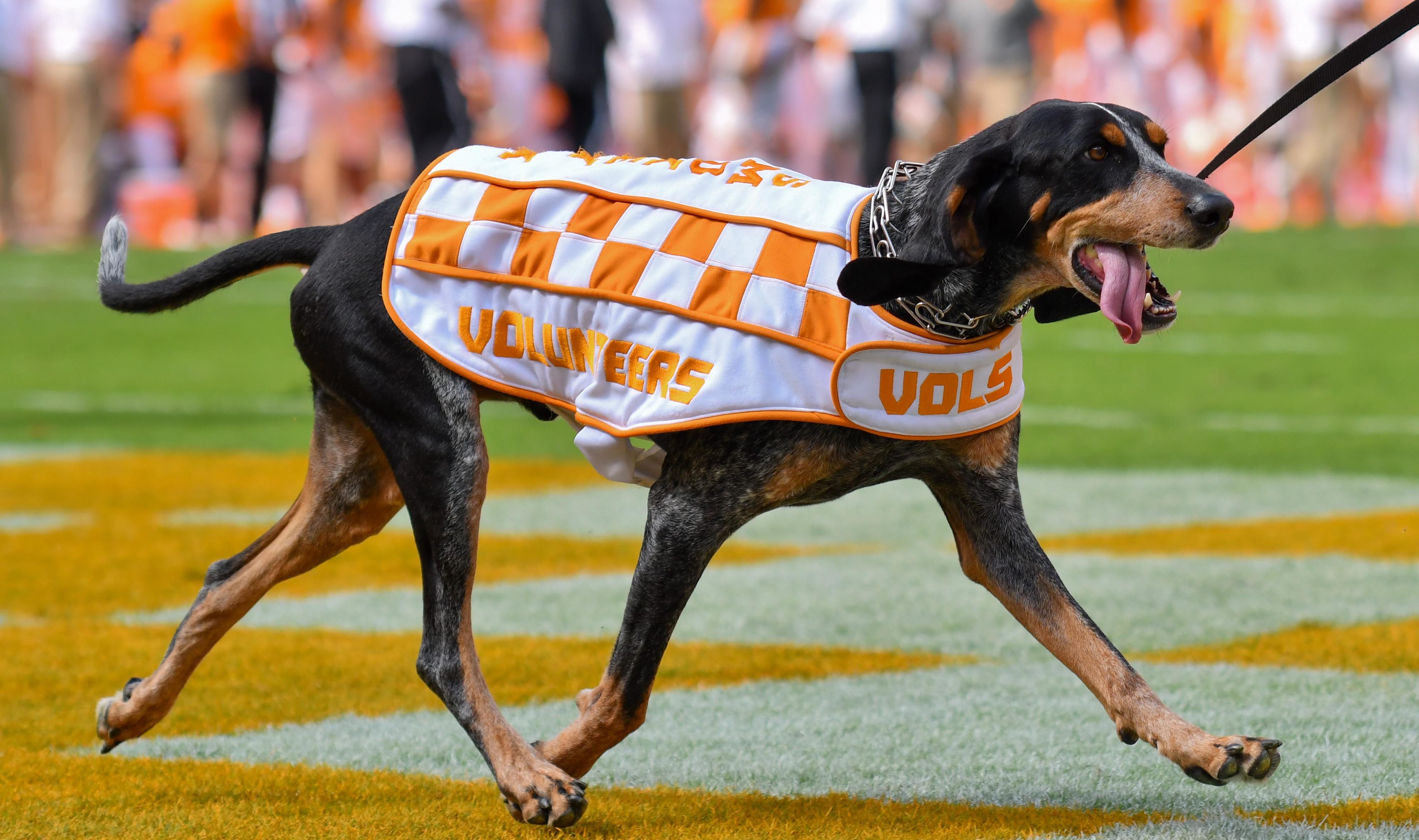 Report: Jeremy Pruitt adds several assistants, keeping Robert Gillespie ...