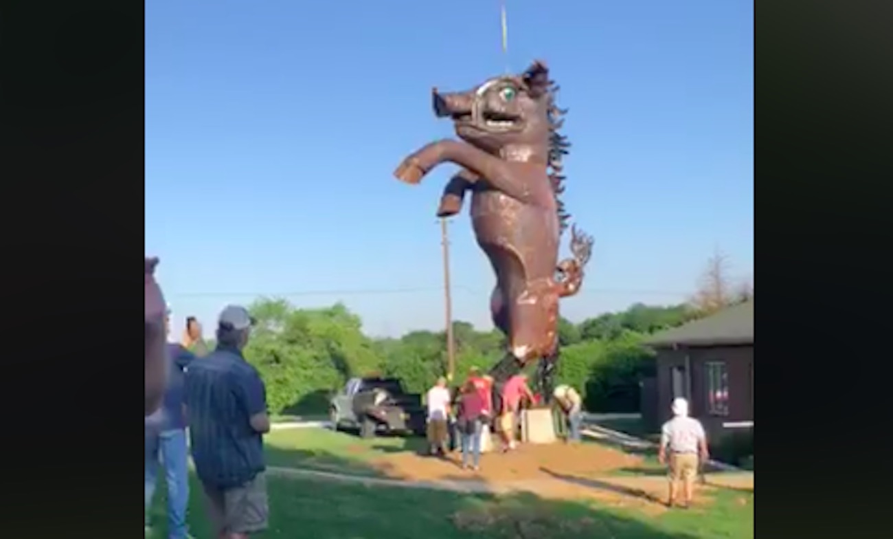WATCH: Woo Pig? Fayetteville resident installs 25-foot Razorback statue ...